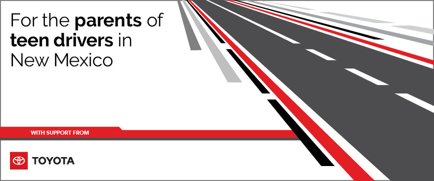 Learning to Drive in New Mexico | eDriverManuals